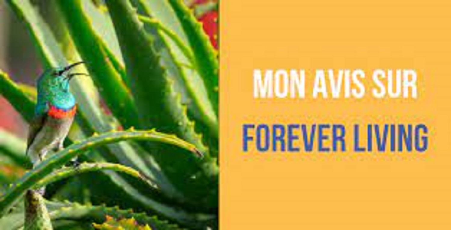 FOREVER LIVING : Analyse d'un MLM Établi - empire-MLM